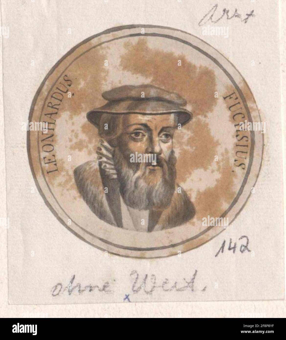 Leonhard fuchs hi-res stock photography and images - Alamy