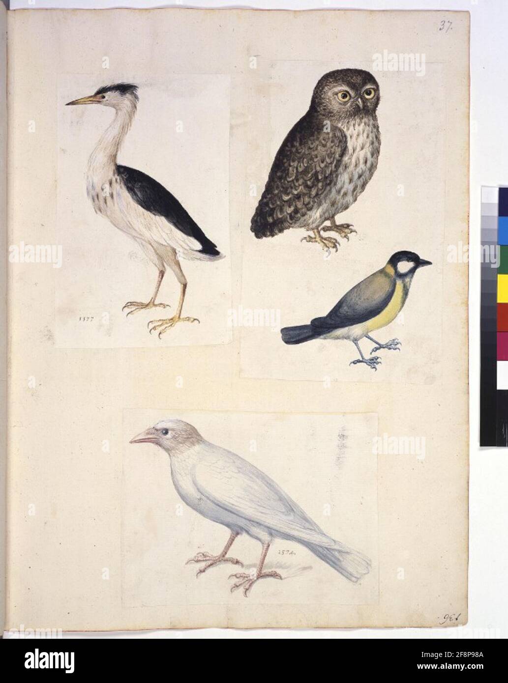 First dat hi-res stock photography and images - Alamy