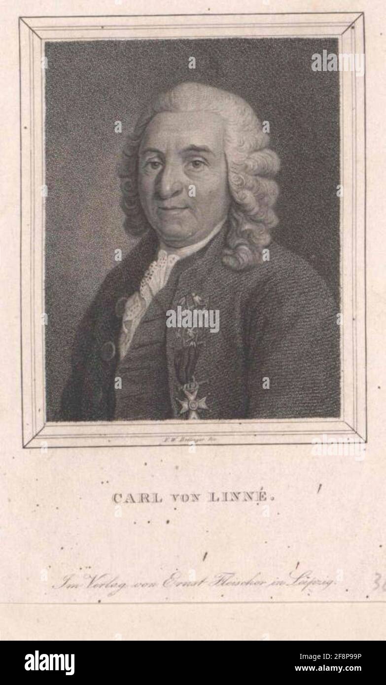 Linné, Charles of Stock Photo - Alamy