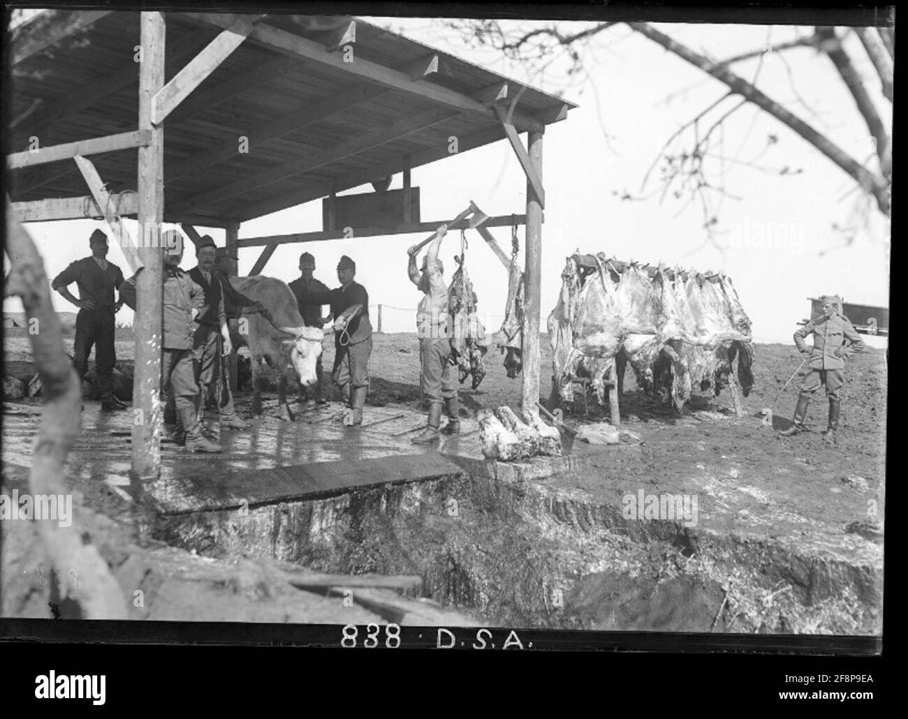 Slaughter house Black and White Stock Photos & Images - Alamy