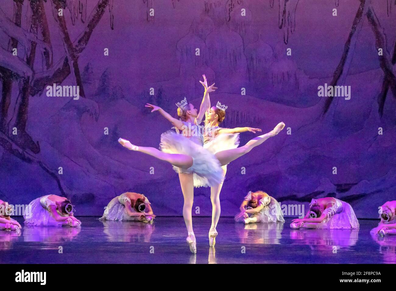 The Nutcracker Waltz of the Snowflakes Stock Photo - Alamy