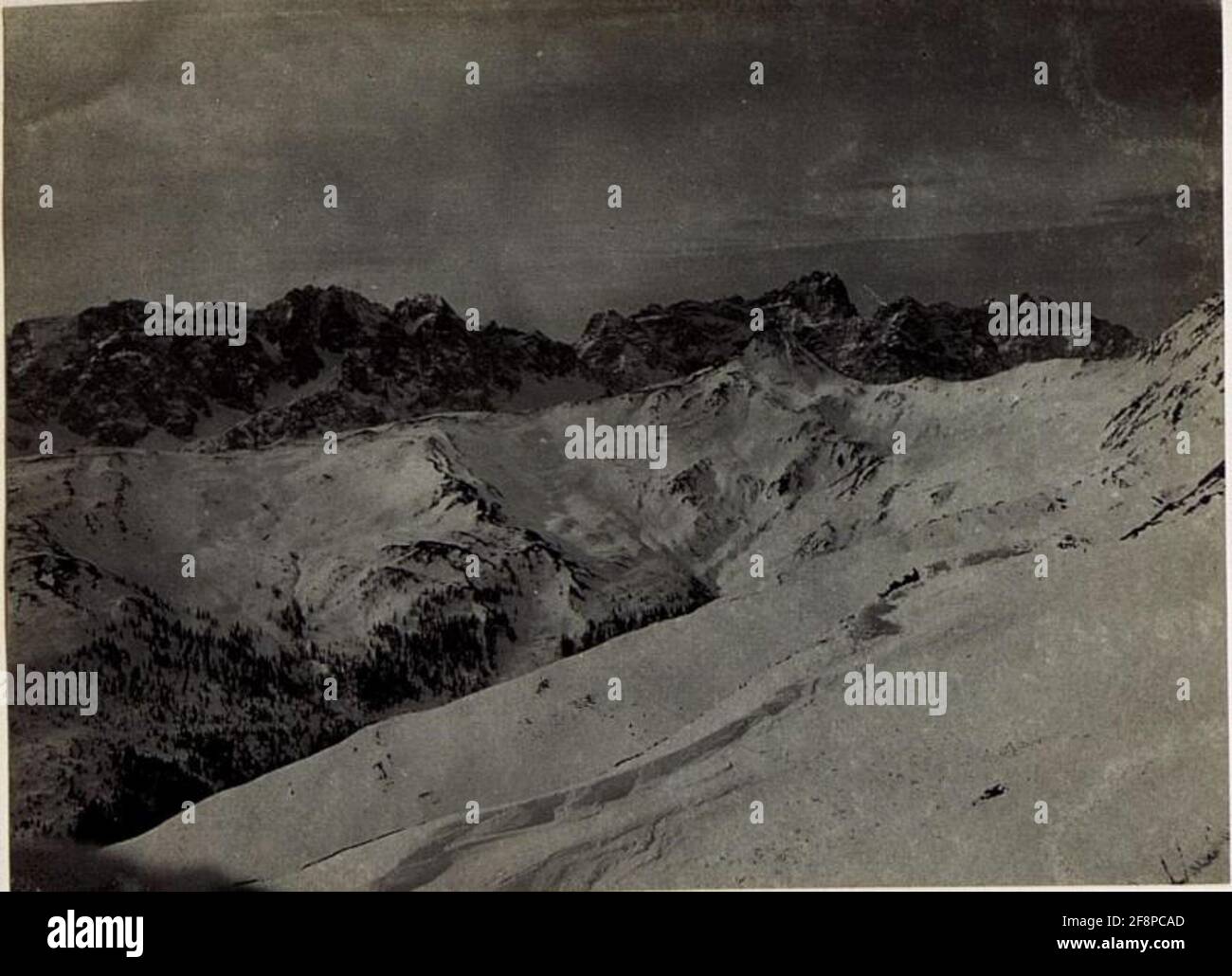 Quatern hi-res stock photography and images - Alamy