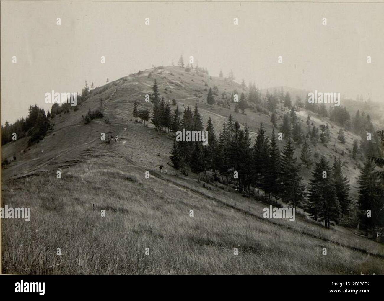 Kuppe hi-res stock photography and images - Alamy