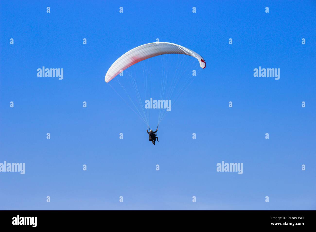 Tourists flying on a paraglider flying in the blue sky on a bright day ...