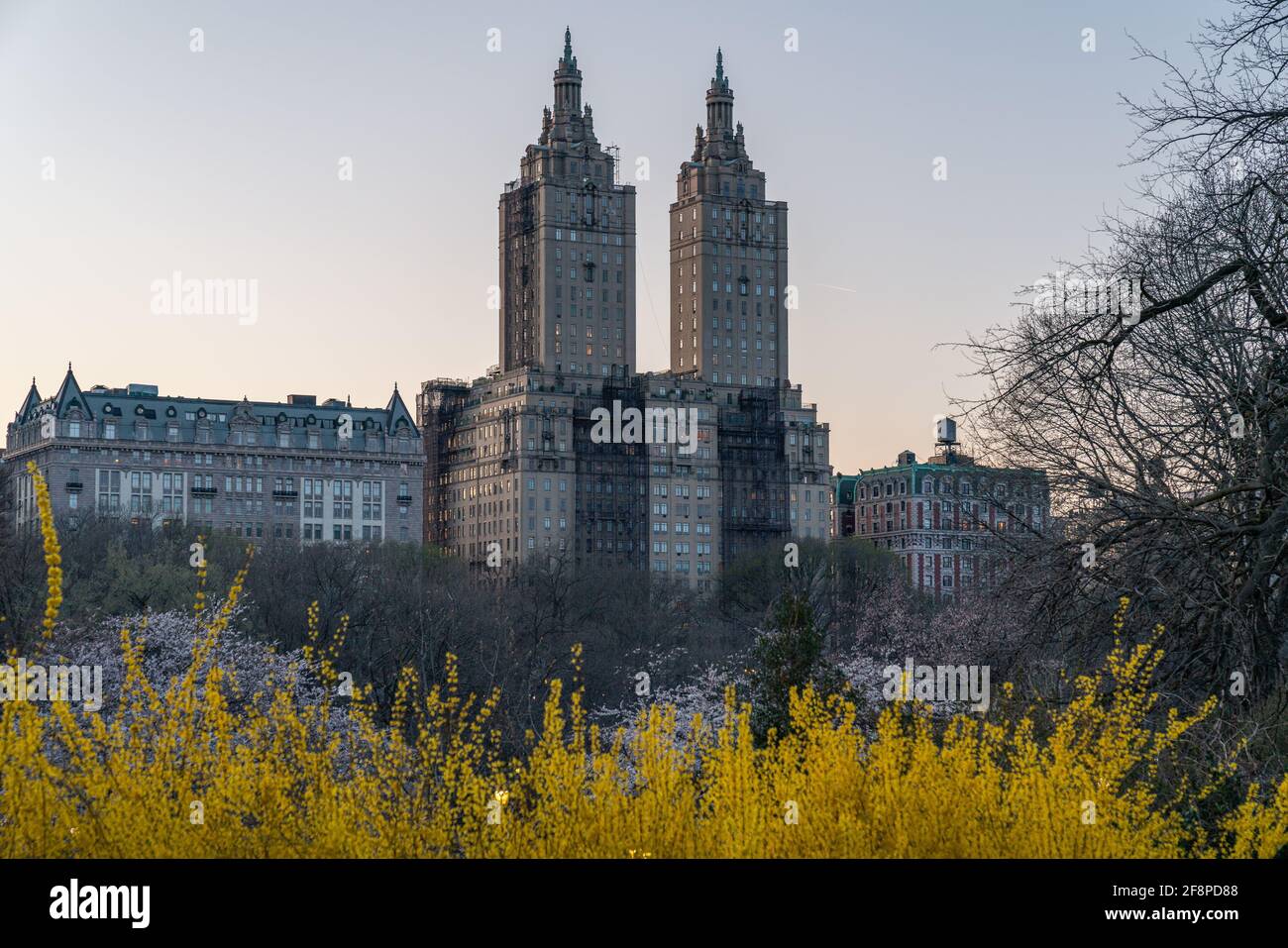 View of New York City skyline from Central Park during the Spring with ...