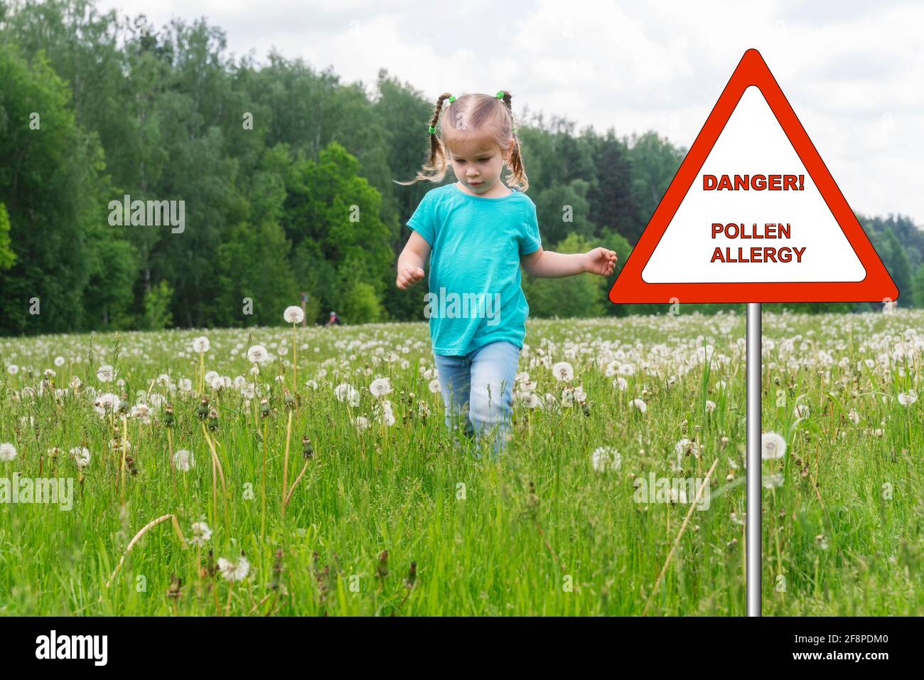 warning sign: danger pollen allergy. little girl walks across the field ...
