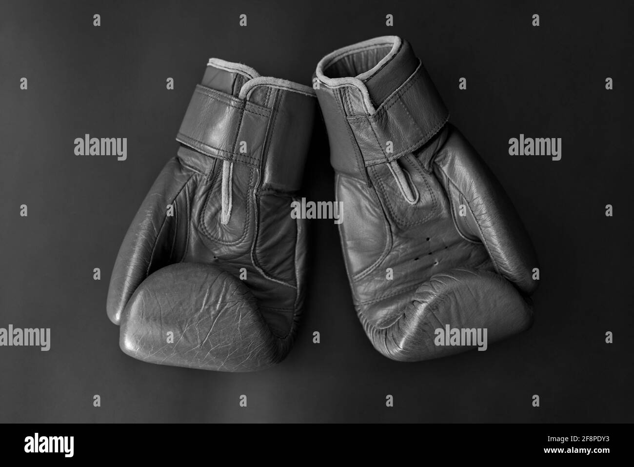 Leather boxing gloves, top view, black and white photo Stock Photo - Alamy