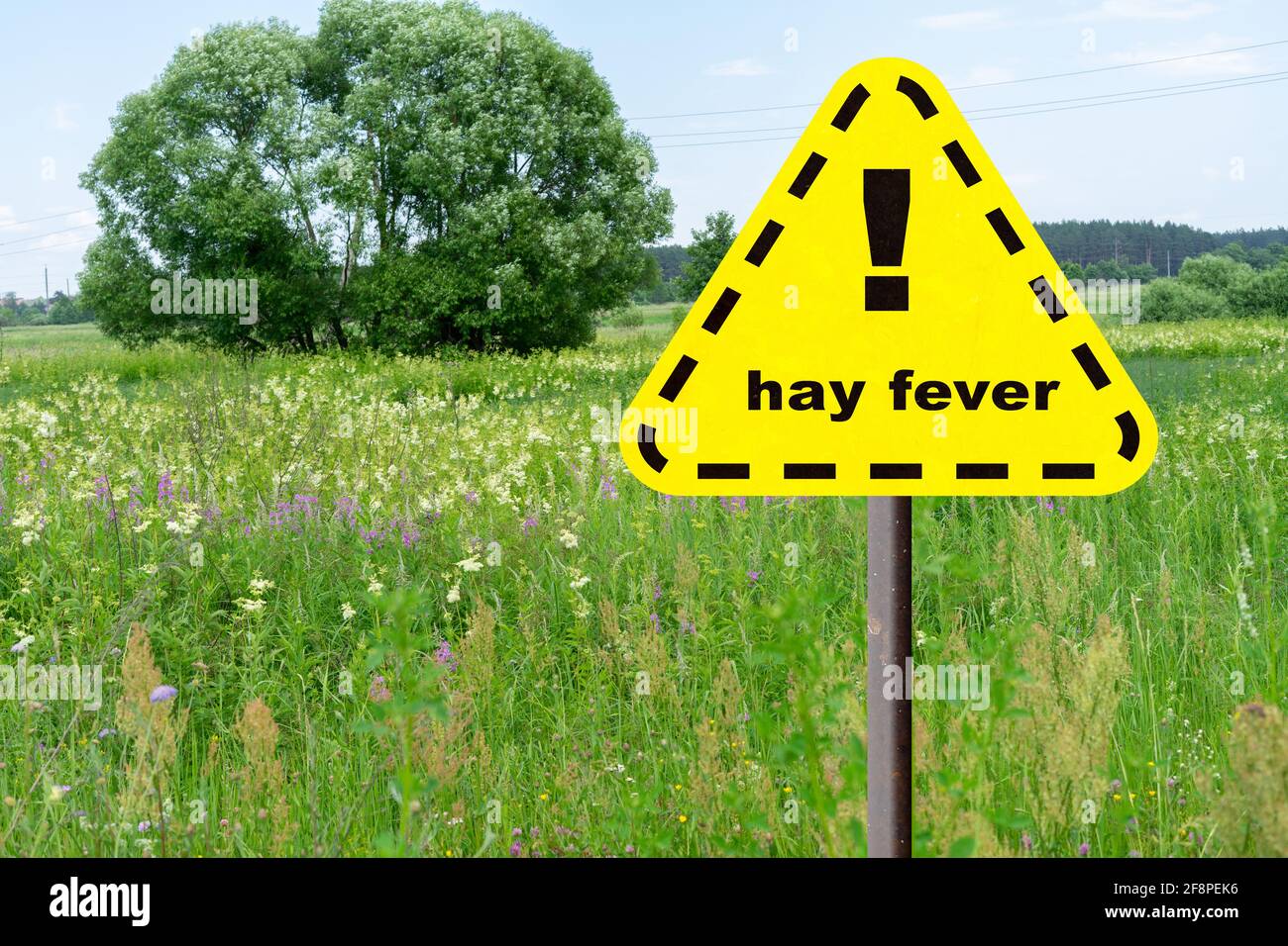 Hay fever season background hi-res stock photography and images - Alamy