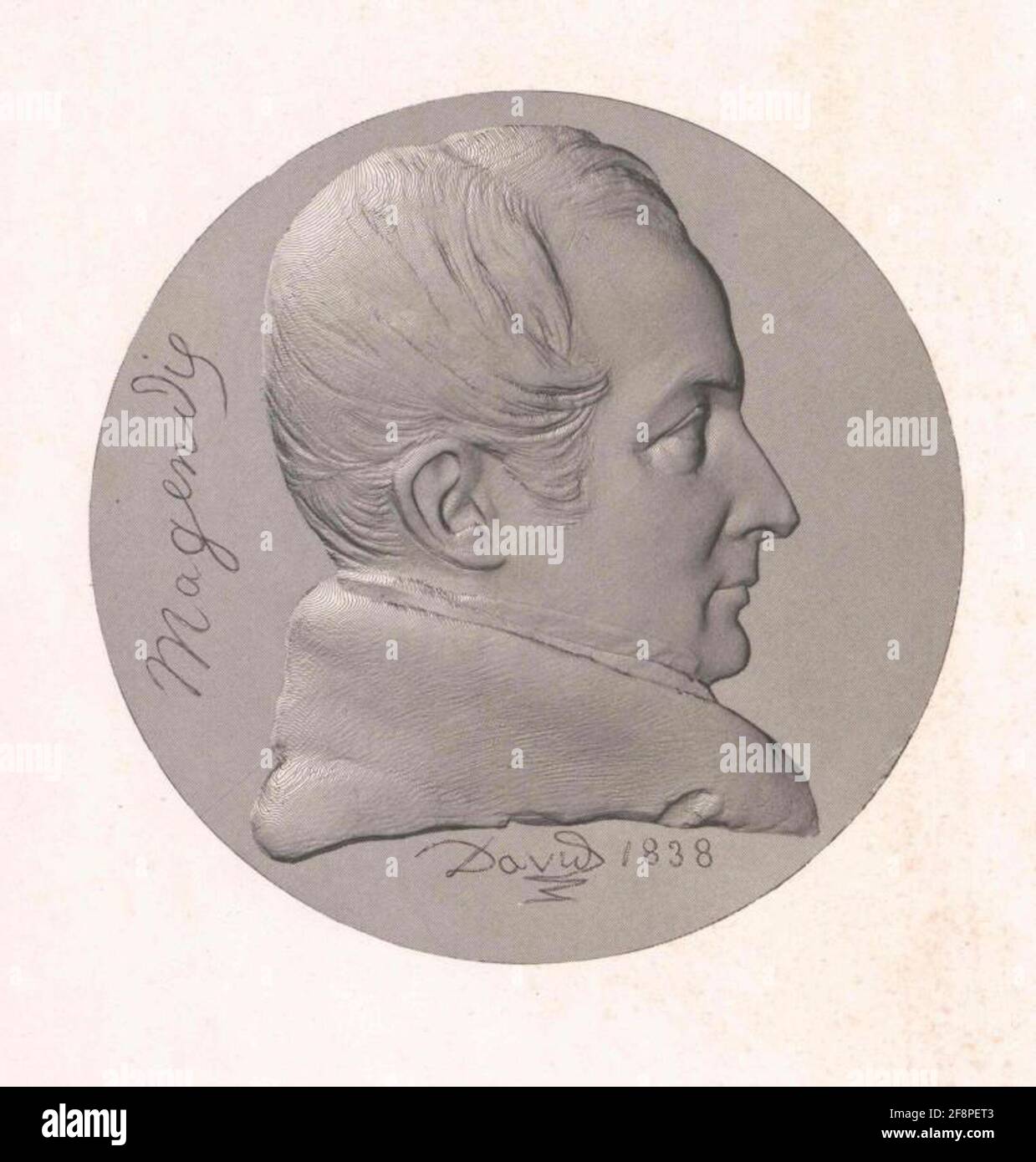 Magendie hi-res stock photography and images - Alamy