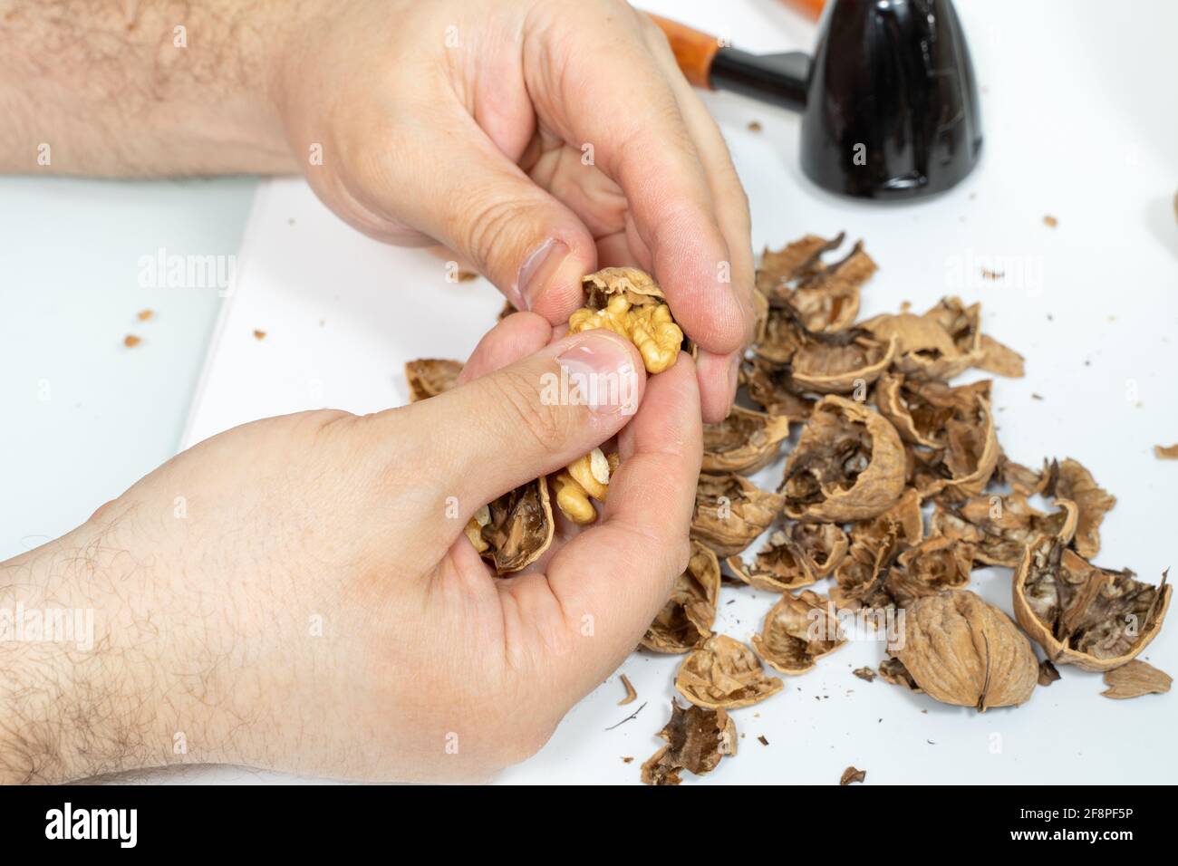 the hands are breaking the cracked nut Stock Photo - Alamy