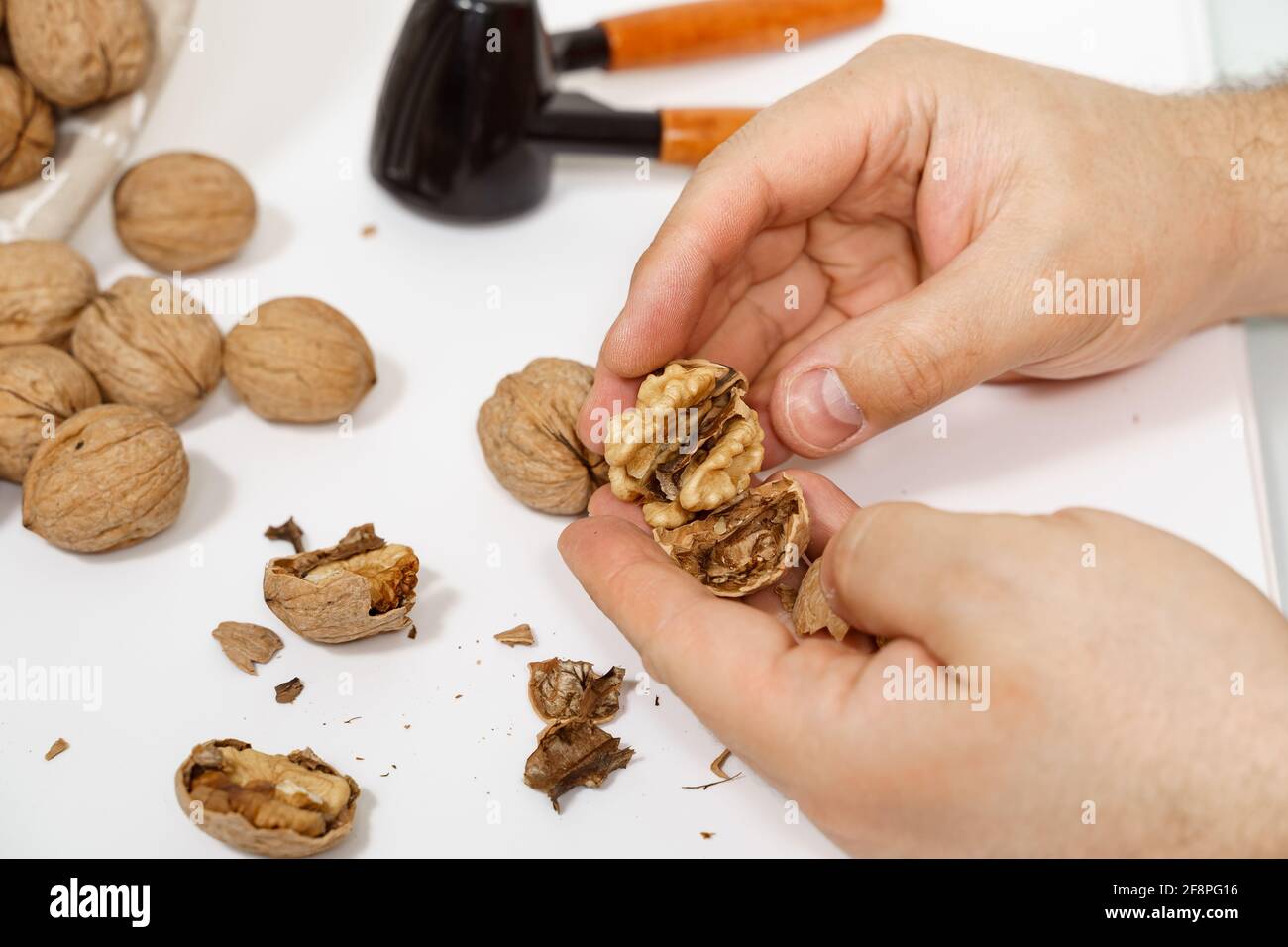 a man tells a walnut with a nutcracker the hands are breaking the ...
