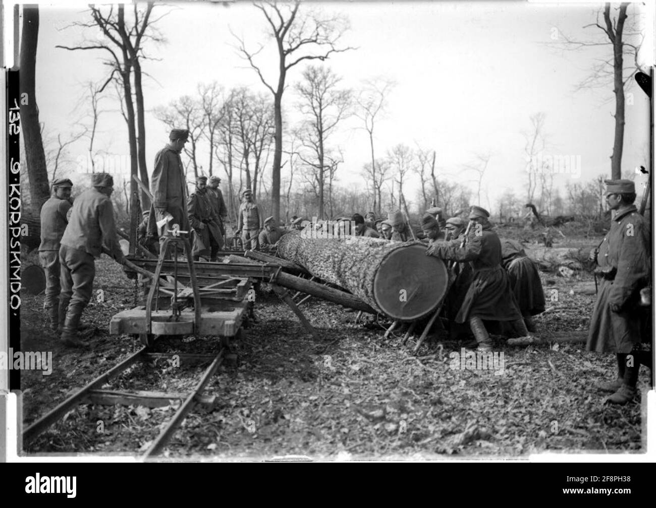 Loading of the field railway cars with oak trunks by Russian prisoners ...