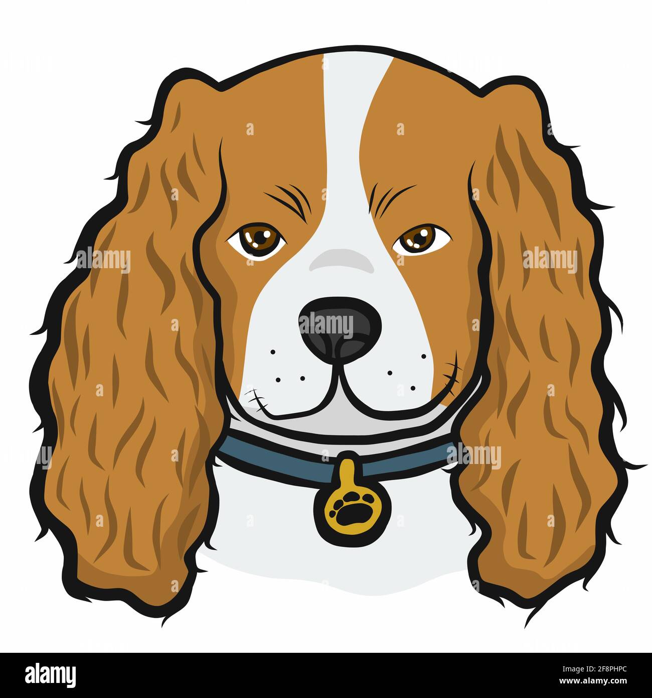 Cavalier King Charles Spaniel dog face cartoon vector illustration ...