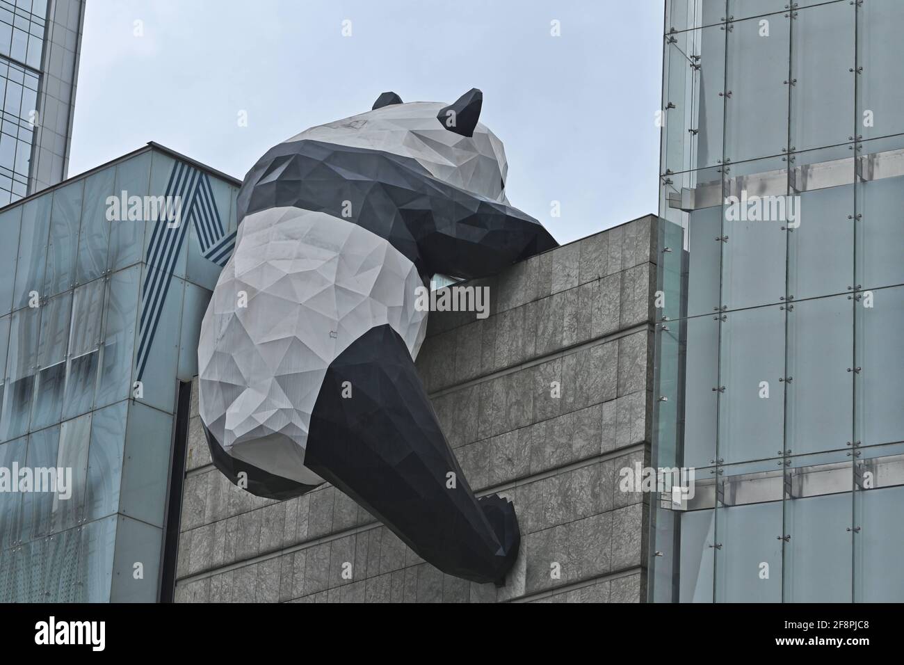 CHENGDU, CHINA - APRIL 15, 2021 - A 15-meter-tall giant panda sculpture ...