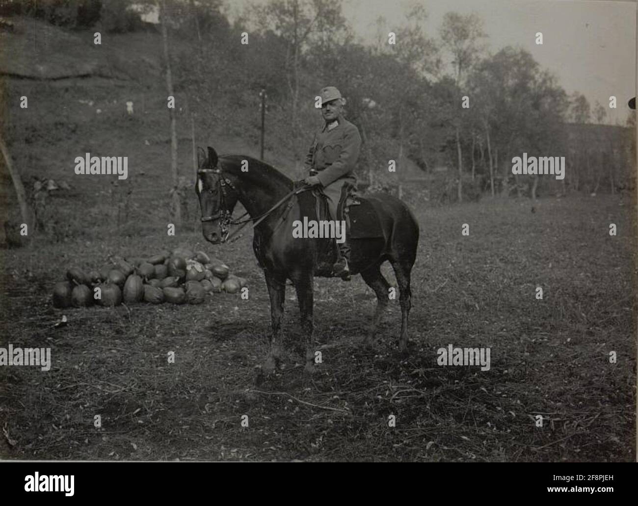 General Major Elmar Stock Photo - Alamy