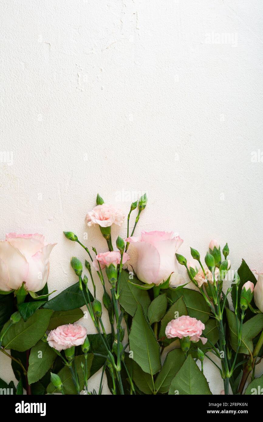 Pink flowers overhead view on white surface, top view copy space Stock ...