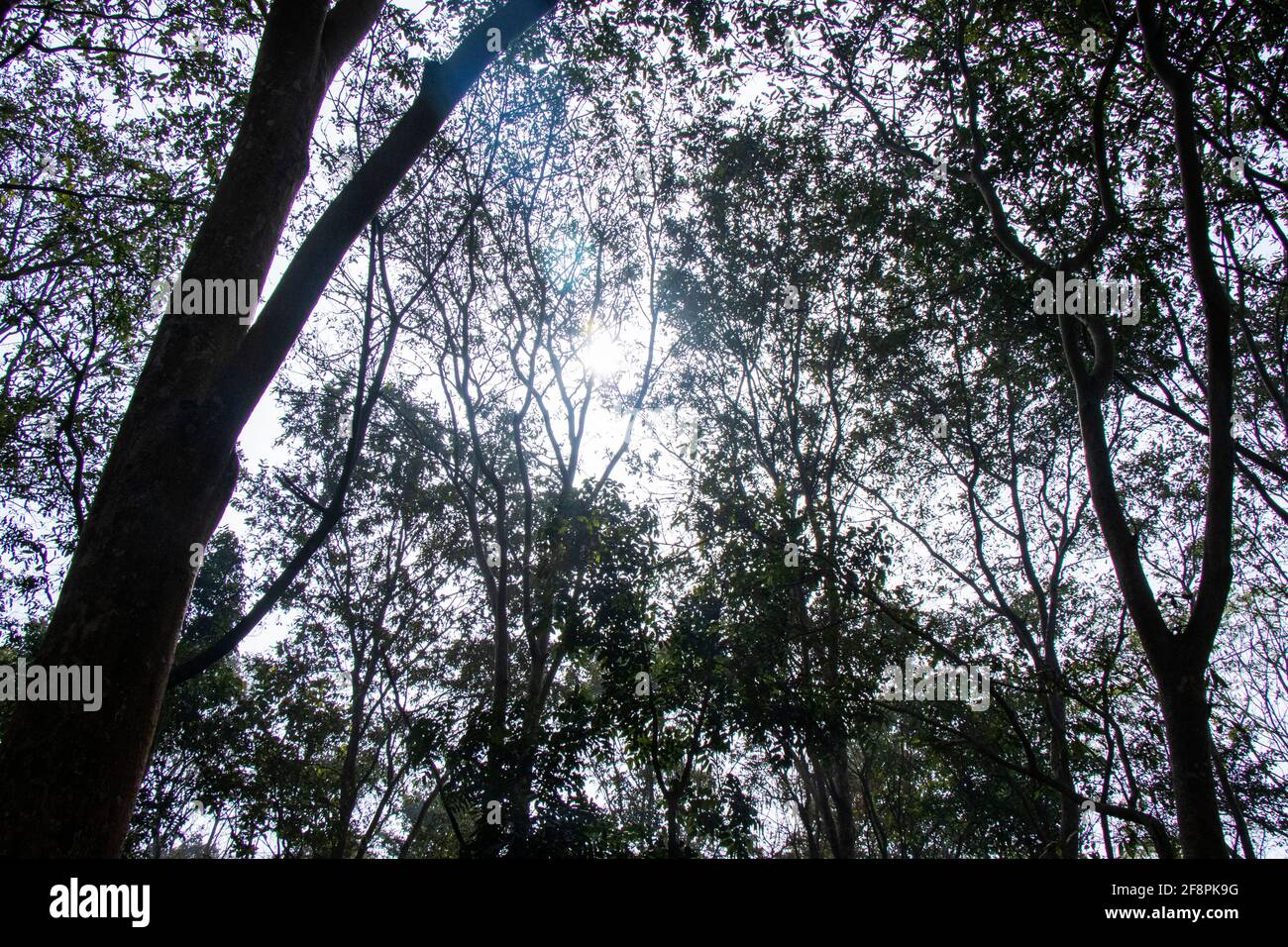 Silhouette backdrop hi-res stock photography and images - Alamy