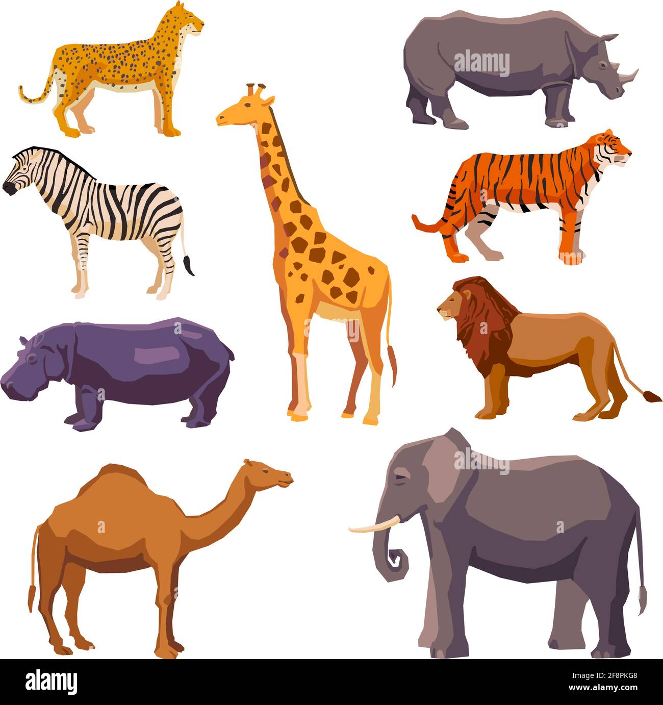 Zoo Lion Tiger Giraffe Zebra Cut Out Stock Images & Pictures - Alamy