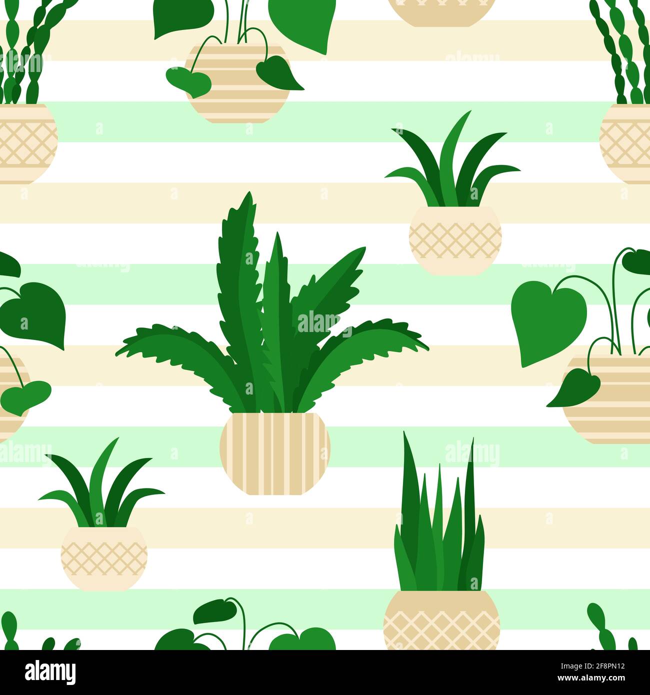 Fresh green cactus texture Stock Vector Images - Alamy