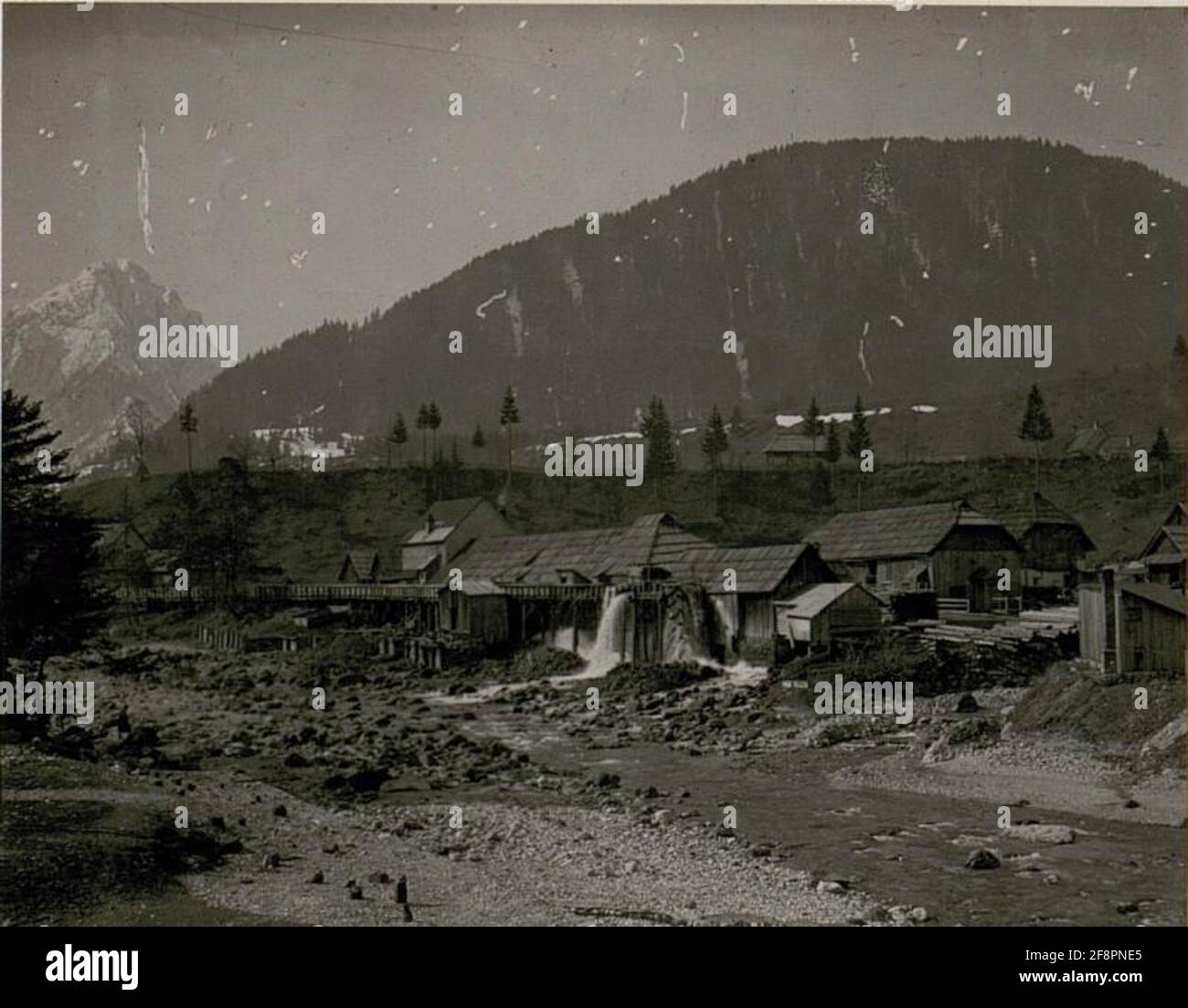 General view of the vertebral sawmill of the qu. department 10 in ...