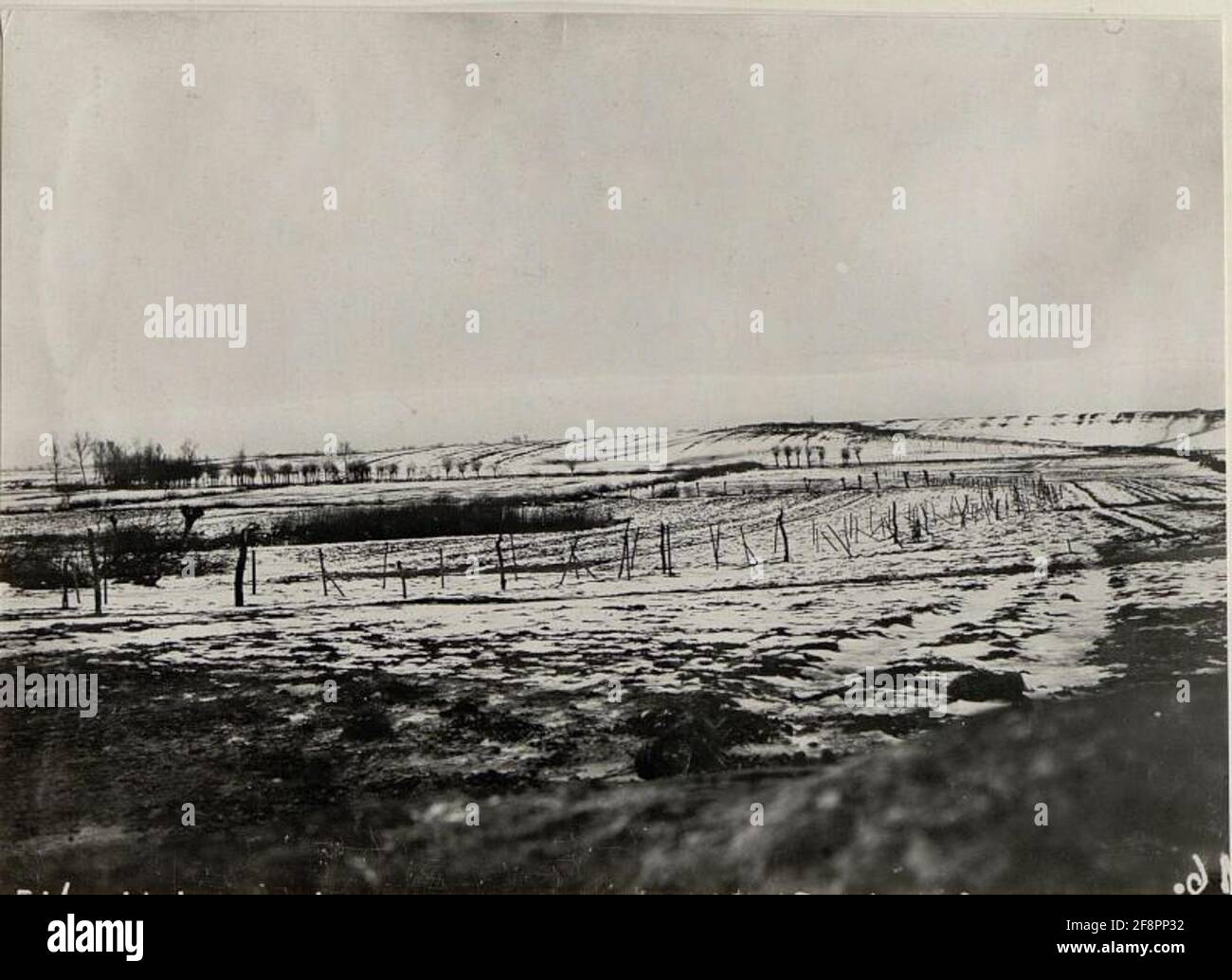 Flank position of the tech wing I.R. 71, south of the creek of Ksany ...