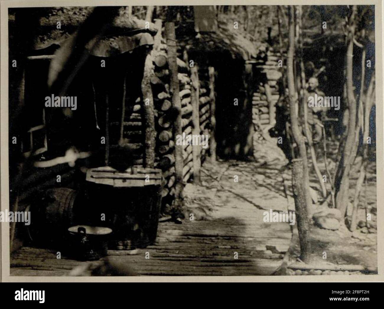 Shorter hi-res stock photography and images - Alamy