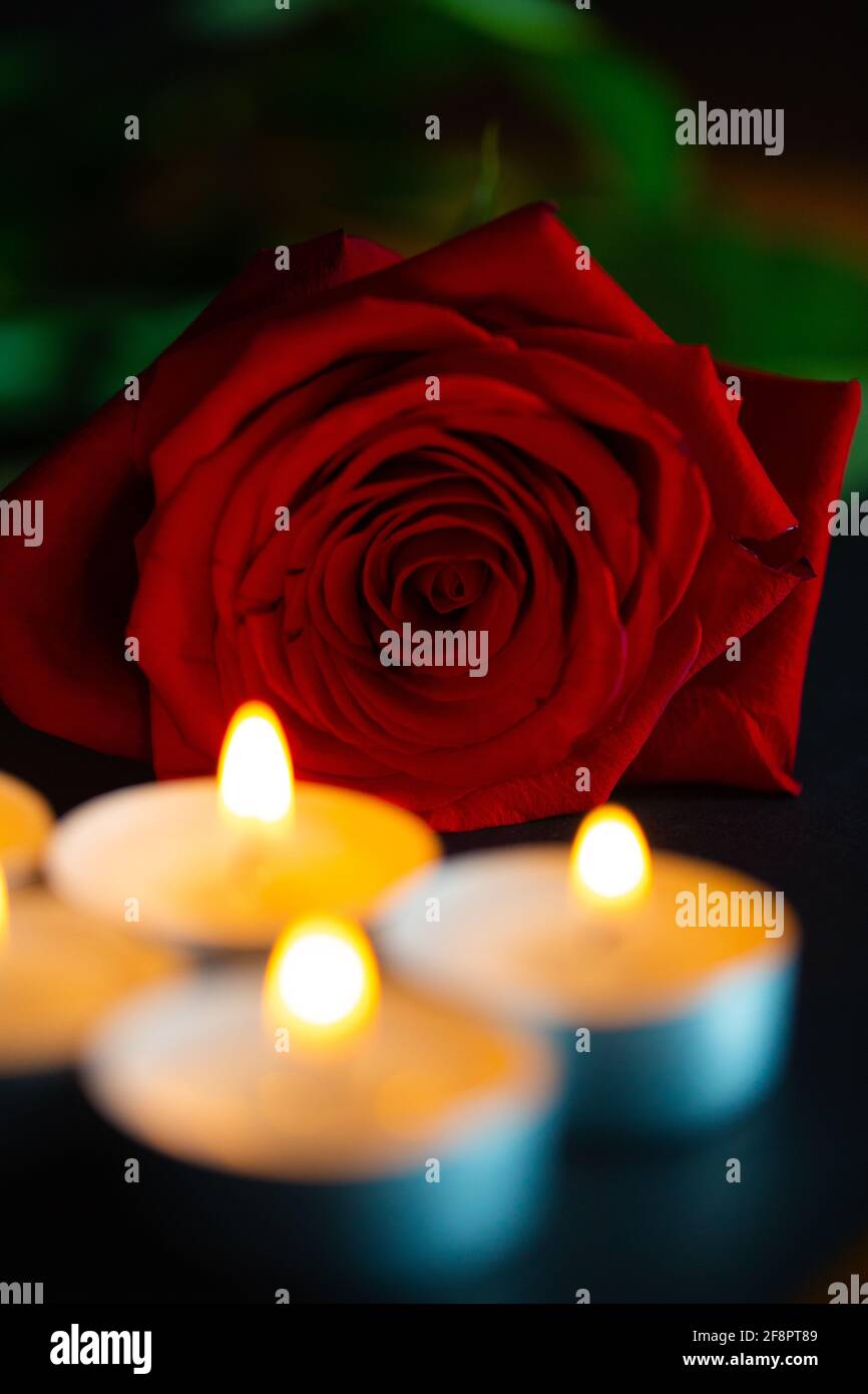 red rose with candles, black background, mourning Stock Photo - Alamy