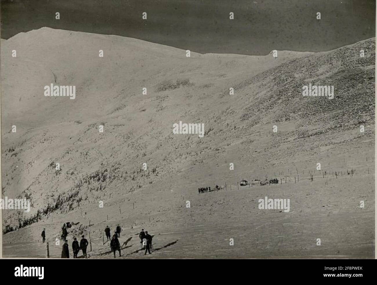 In groppa hi-res stock photography and images - Alamy