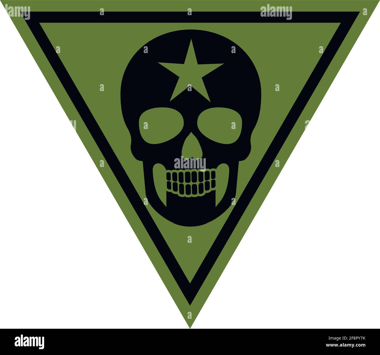 Marsoc Skull Logo