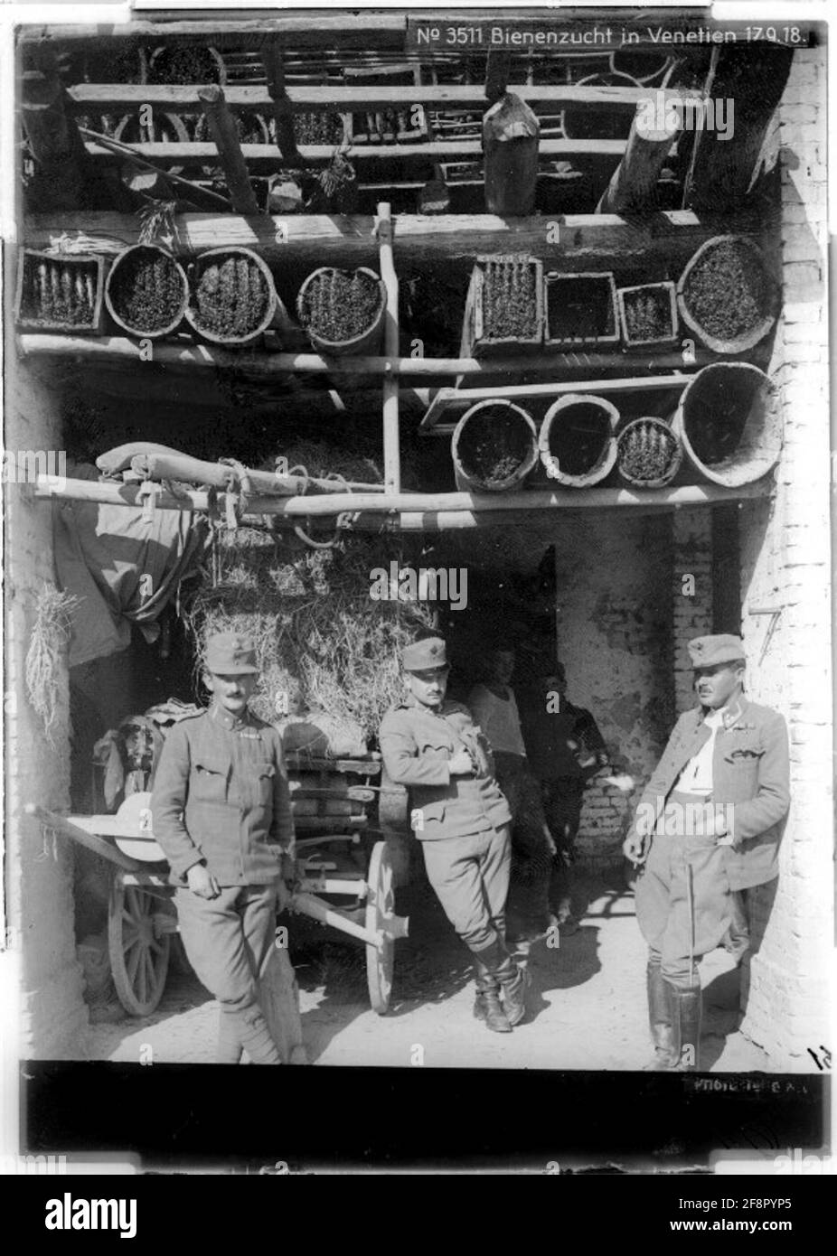 Sustainable beekeeping Black and White Stock Photos & Images - Alamy