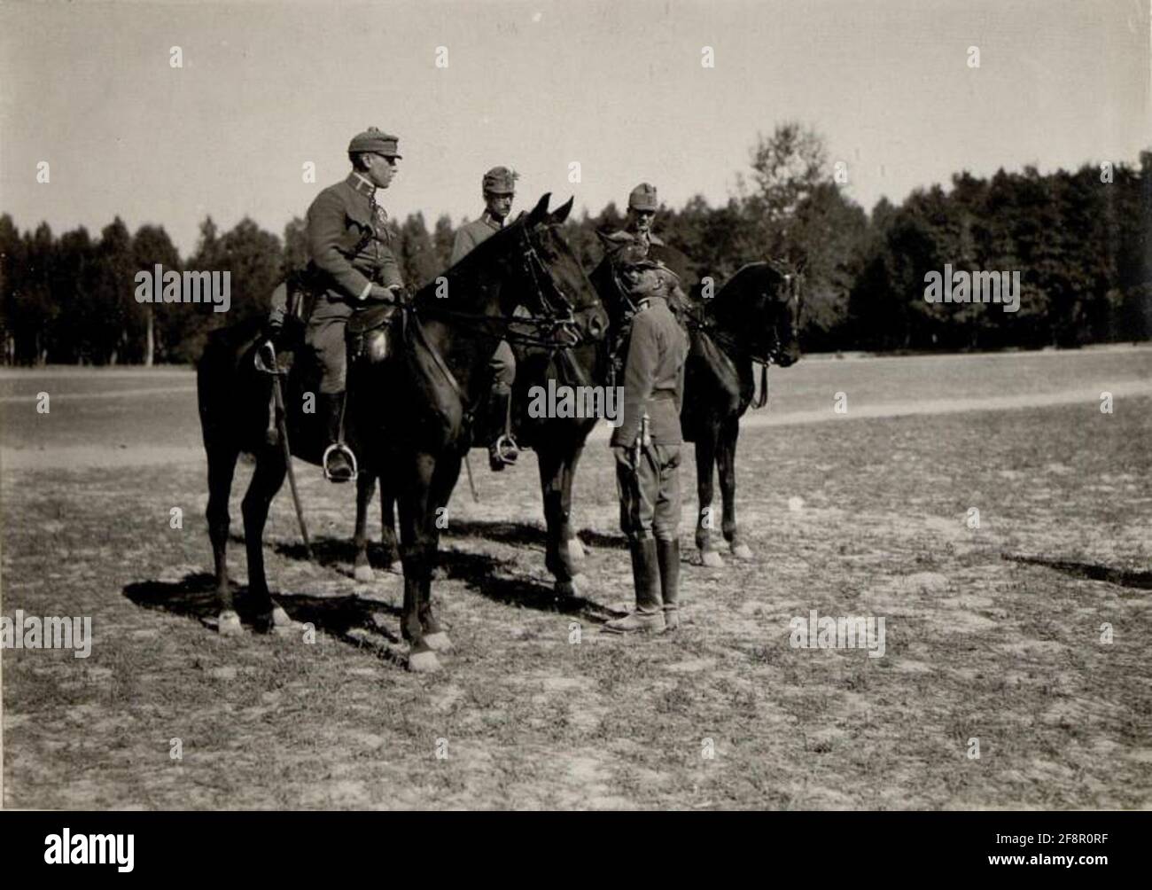 Inspection at K.U.K. Infantry Regiment 88 by headquarters Böhm-Ermoli ...