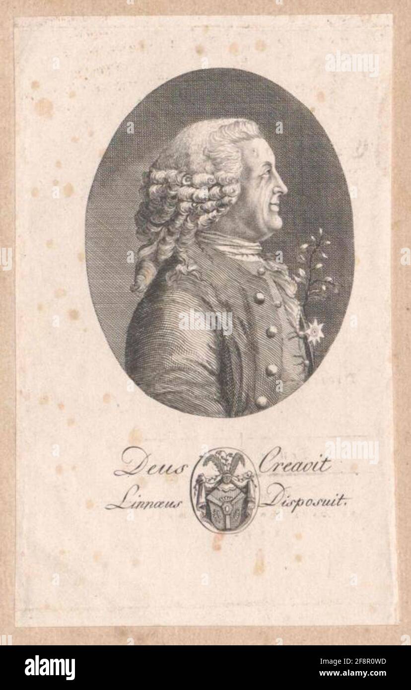 1767 1800 hi-res stock photography and images - Alamy