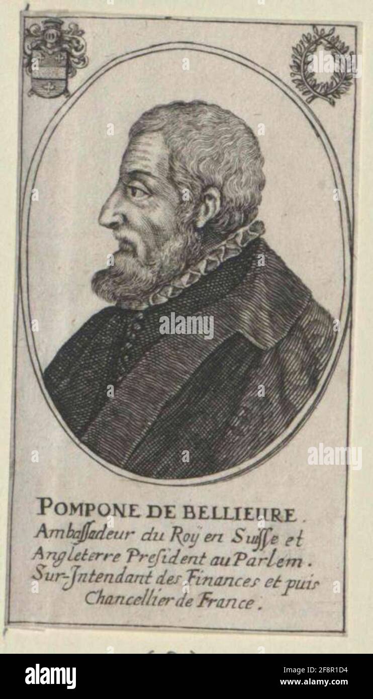 Pompone hi-res stock photography and images - Alamy