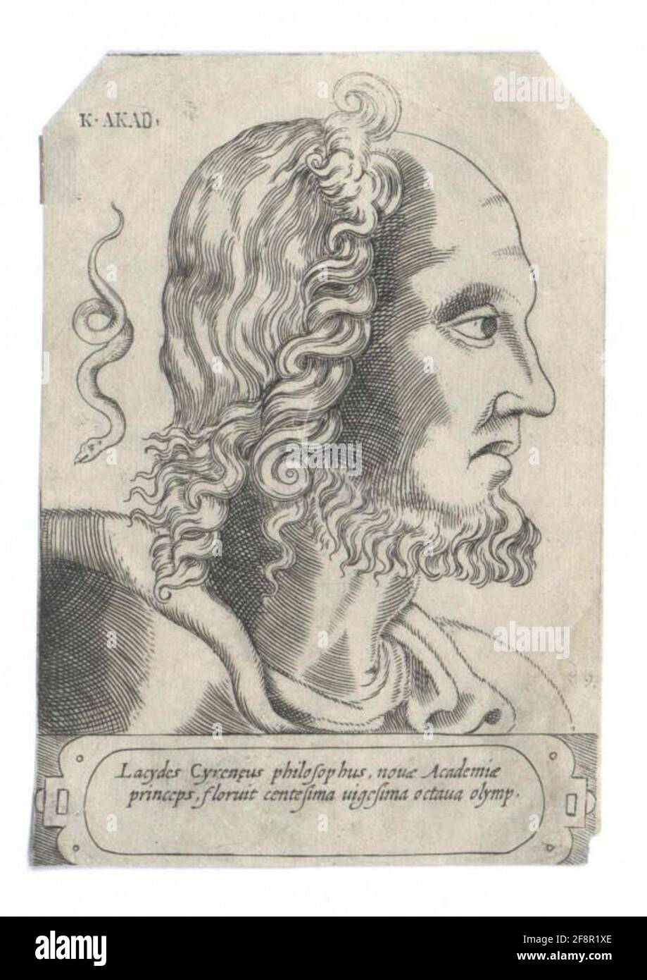 Lacid Cut Out Stock Images & Pictures - Alamy