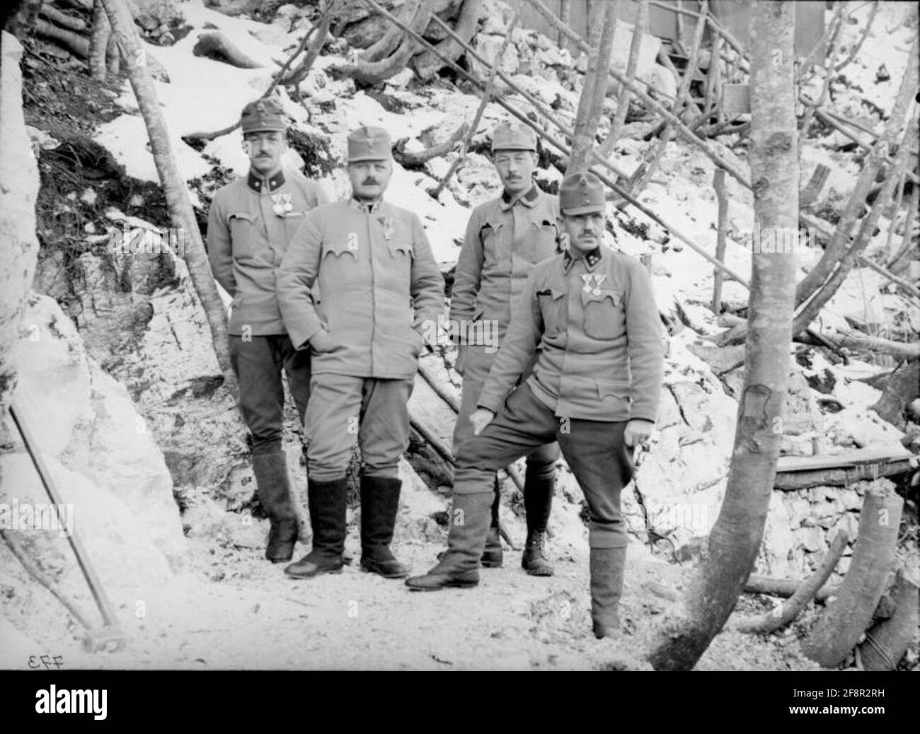 Commanding Officers of the Landwehr Infantry Regiment No. 2. Commander ...