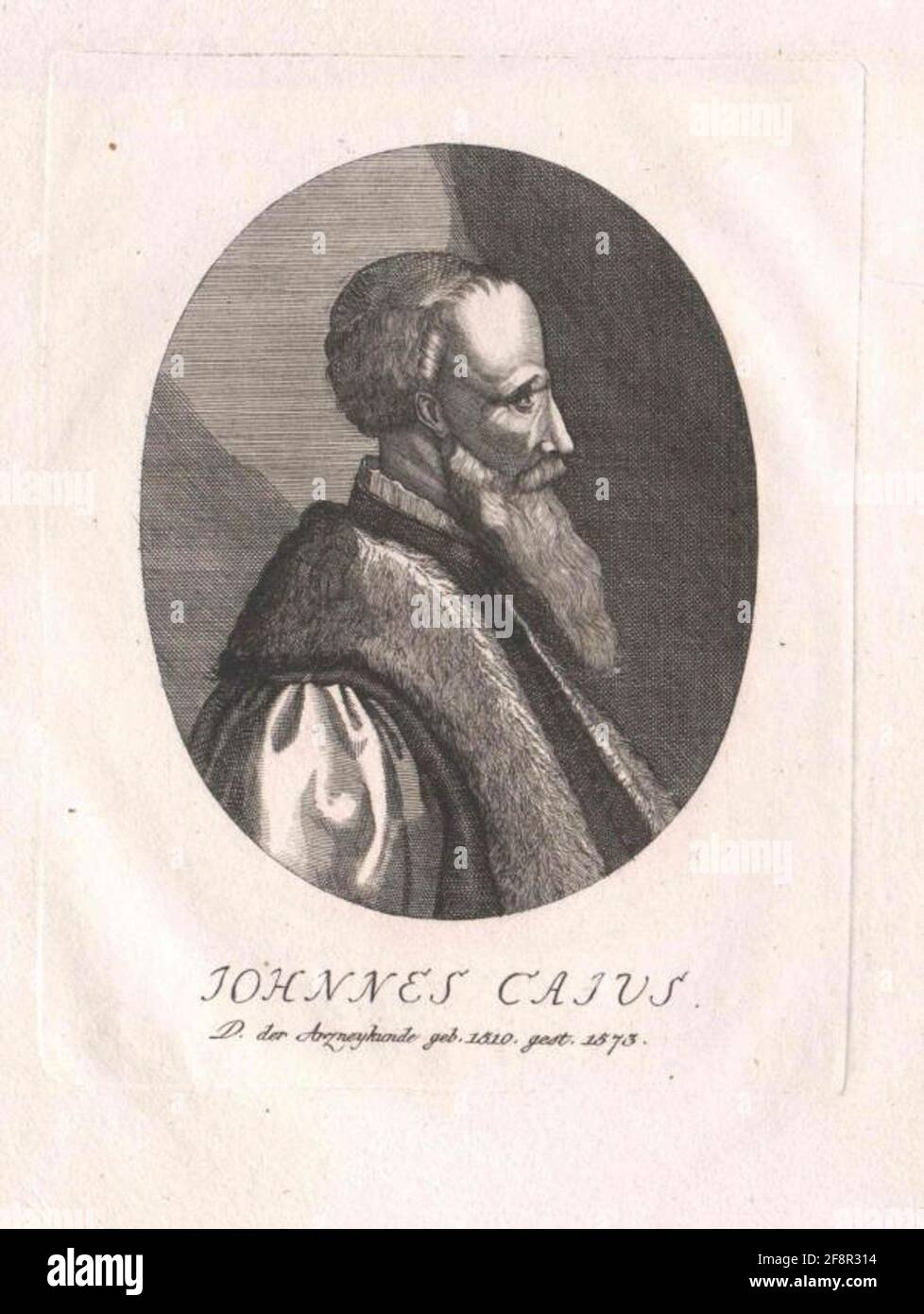 John kaye hi-res stock photography and images - Alamy