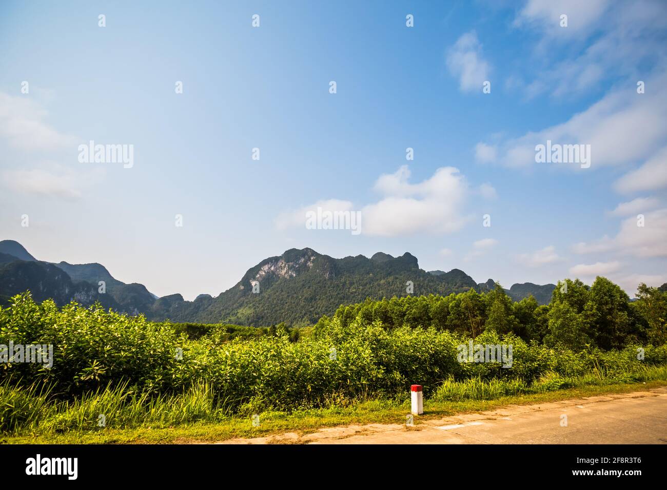 Beautiful green vivid landscape on the trip from National Park Phong ...