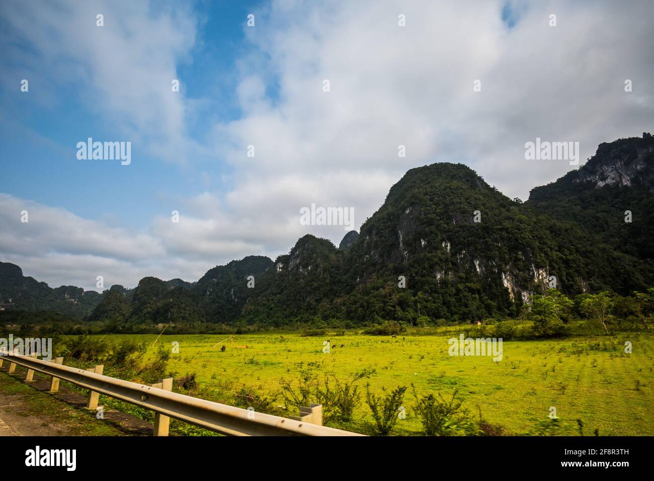Beautiful green vivid landscape on the trip from National Park Phong ...