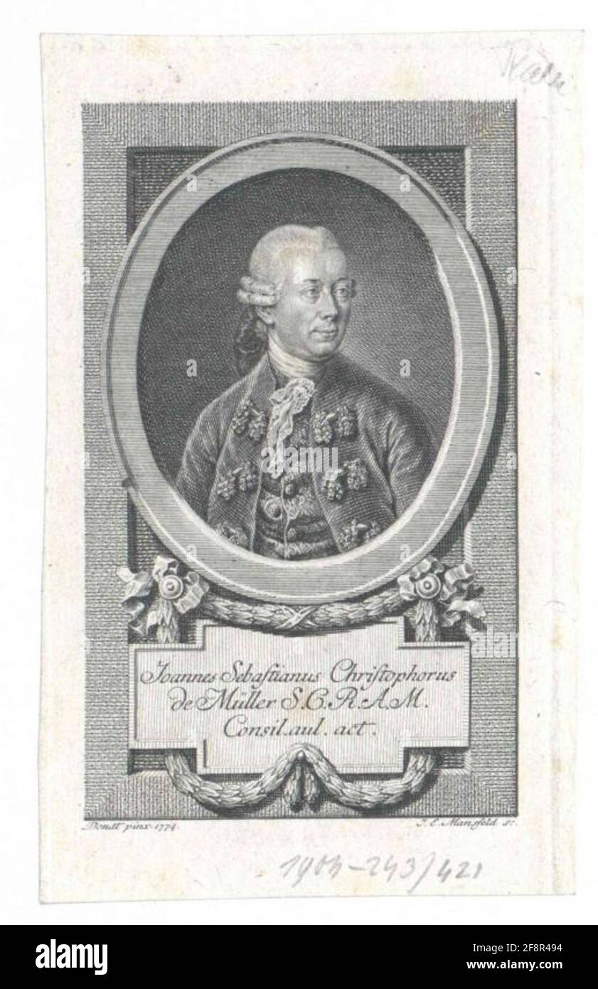 Johannes muller hi-res stock photography and images - Alamy