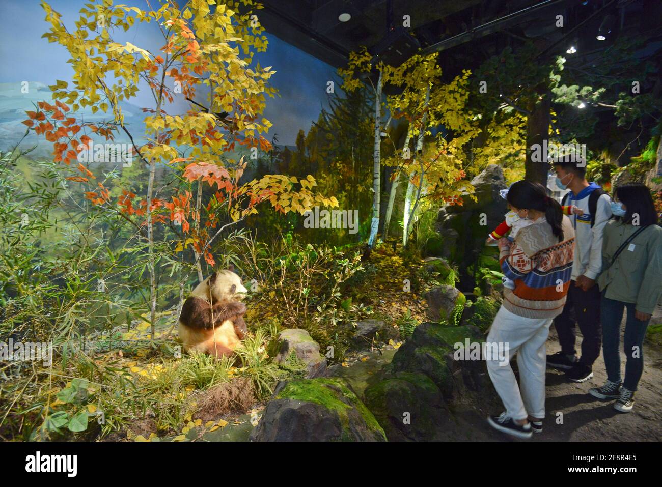 CHENGDU, CHINA - APRIL 14, 2021 - Visitors visit the Chengdu Giant ...