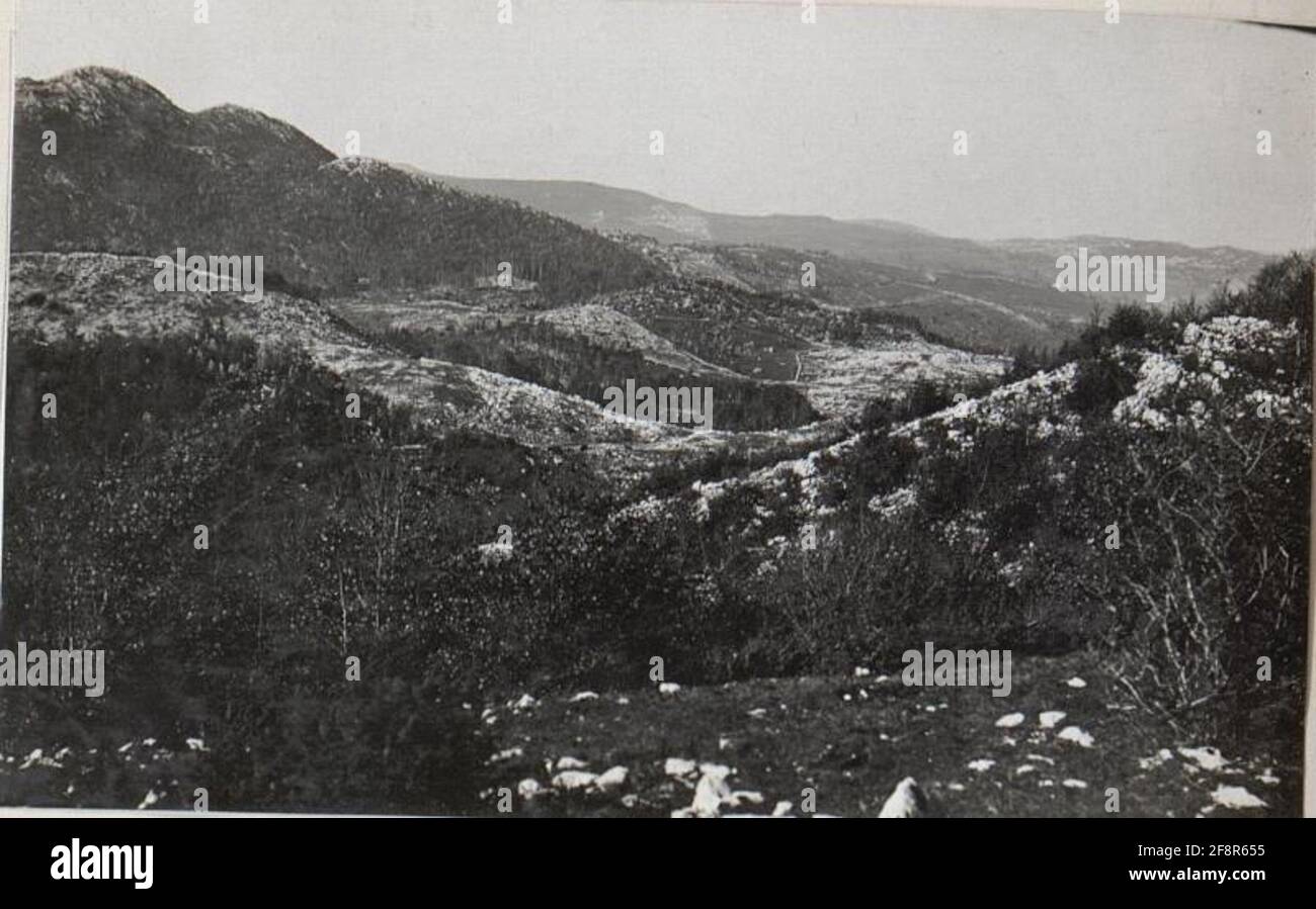 Cance hi-res stock photography and images - Alamy