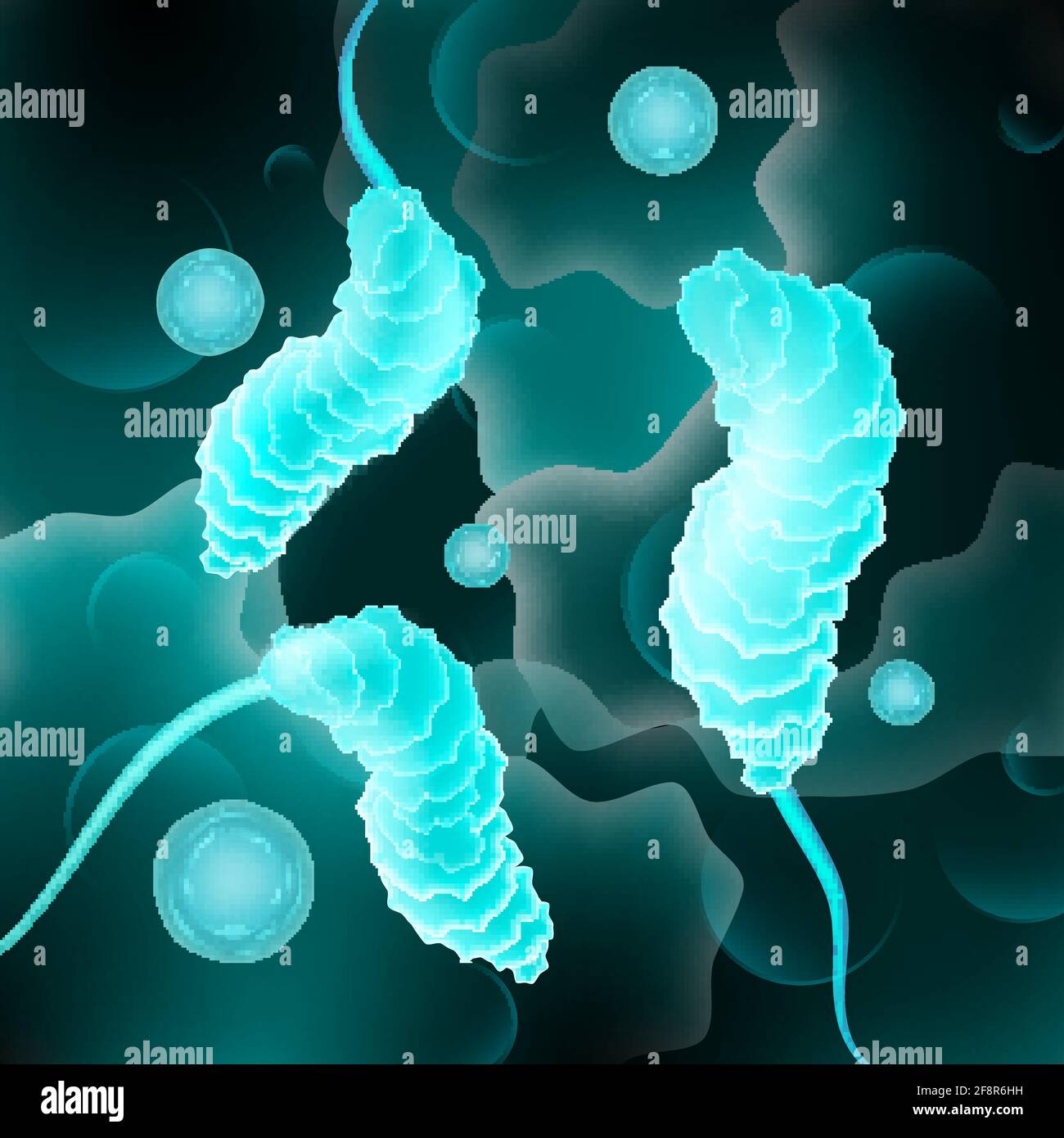 Spherical Bacteria High Resolution Stock Photography and Images - Alamy