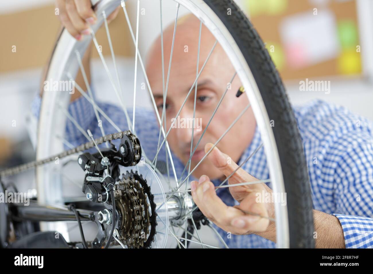 bike repairman fixing central cog of wheel Stock Photo - Alamy