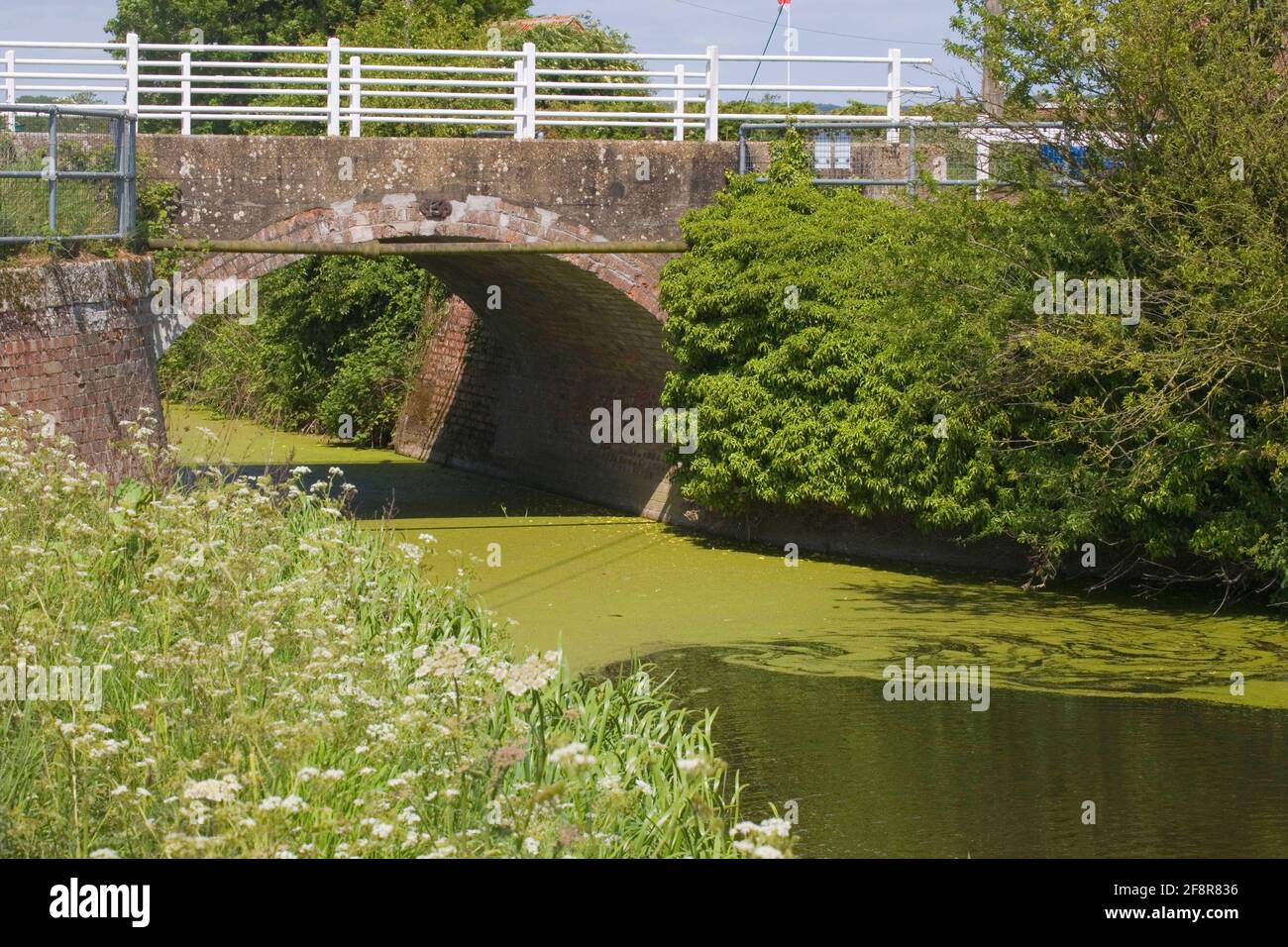 hagnaby lock on the west catchwater drain in Lincolnshire Stock Photo ...