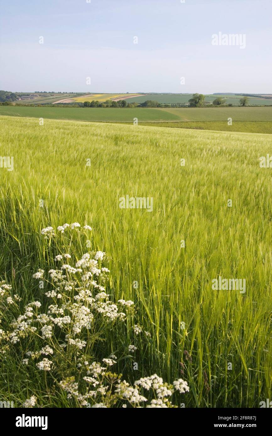 Worlaby hi-res stock photography and images - Alamy