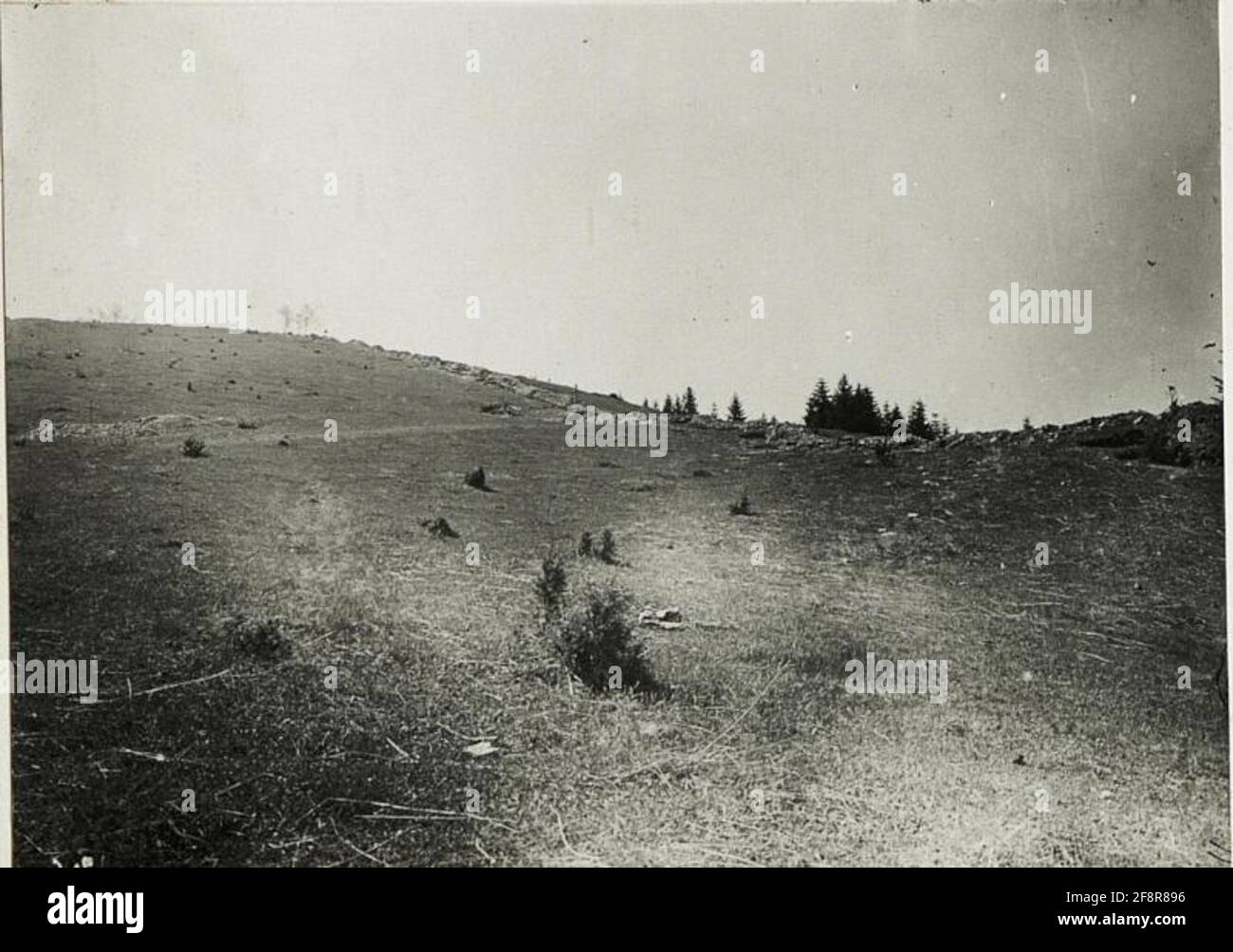 Russian trench on the Goleow Stock Photo - Alamy