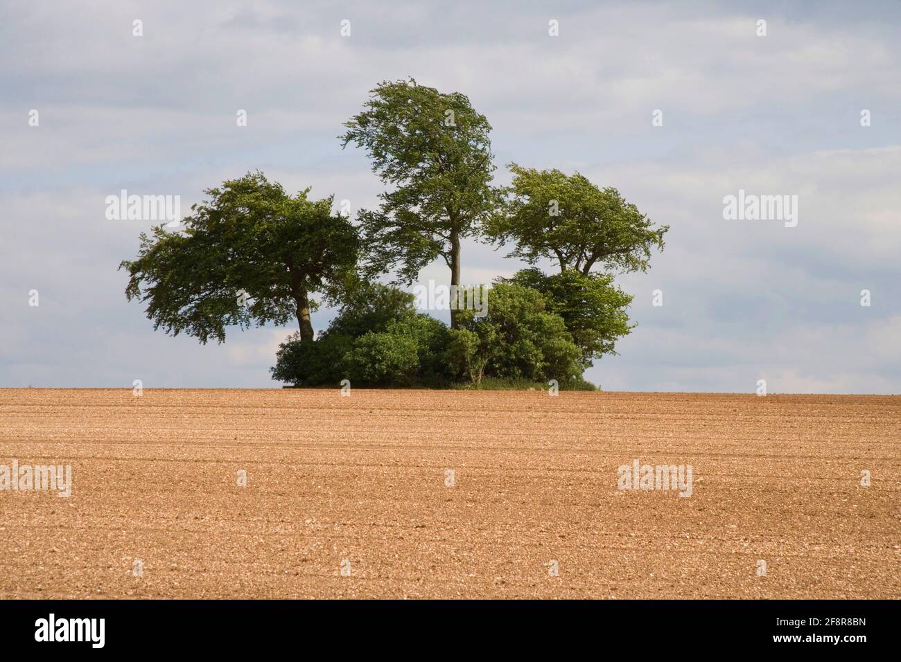 agricultural fields at tathwell lincolnshire Stock Photo - Alamy