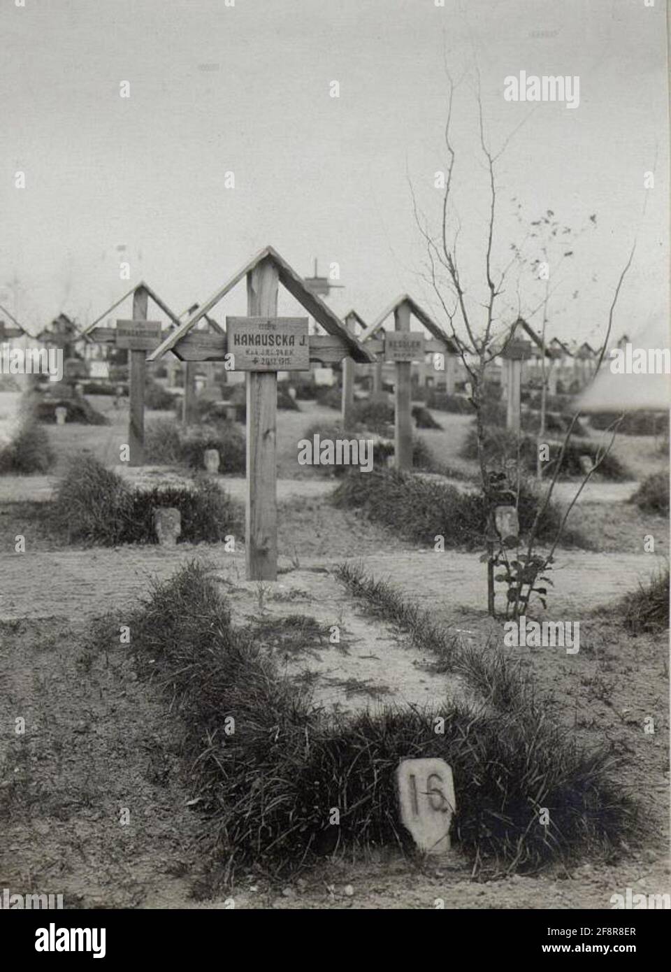 Soldier cemetery, graves and monuments at the Russian war showplatz ...