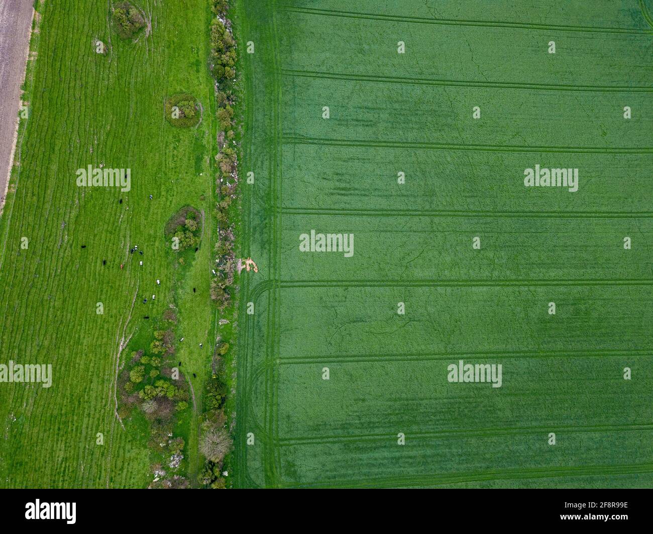 Upwey england hi-res stock photography and images - Alamy