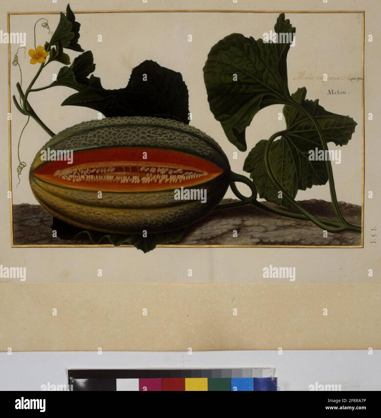 Cod. Min. 53, vol. 7, fol. 353r: Florilegium of Prince Eugene of Savoy ...